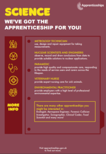 Amazing Apprenticeships: FREE Downloadable Posters | All About STEMAll ...